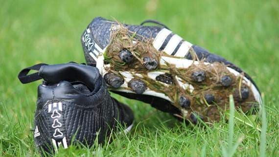 Crediton rugby players hope to start and complete the new season ...